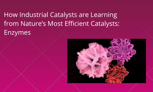 The Catalyst That Changed the World: The Story of Haber-Bosch Ammonia ...